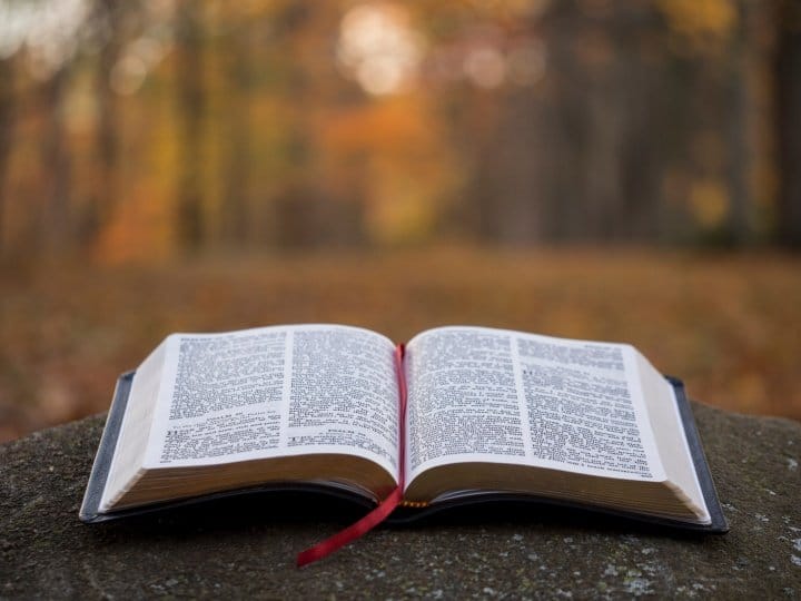 The #1 Most Read Bible Verse of 2020 The #1 Most Read Bible Verse